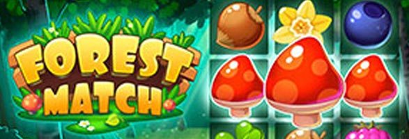 Forest Match - Free Online Game for iPad, iPhone, Android, PC and Mac ...