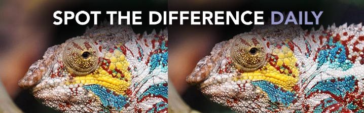 Daily Games | Free Online Games at iWin.com